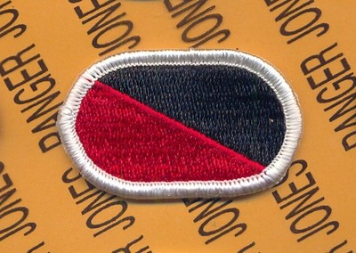 311th MI Bn LRS AASLT Long Range Surveillance Airborne Ranger para oval ...