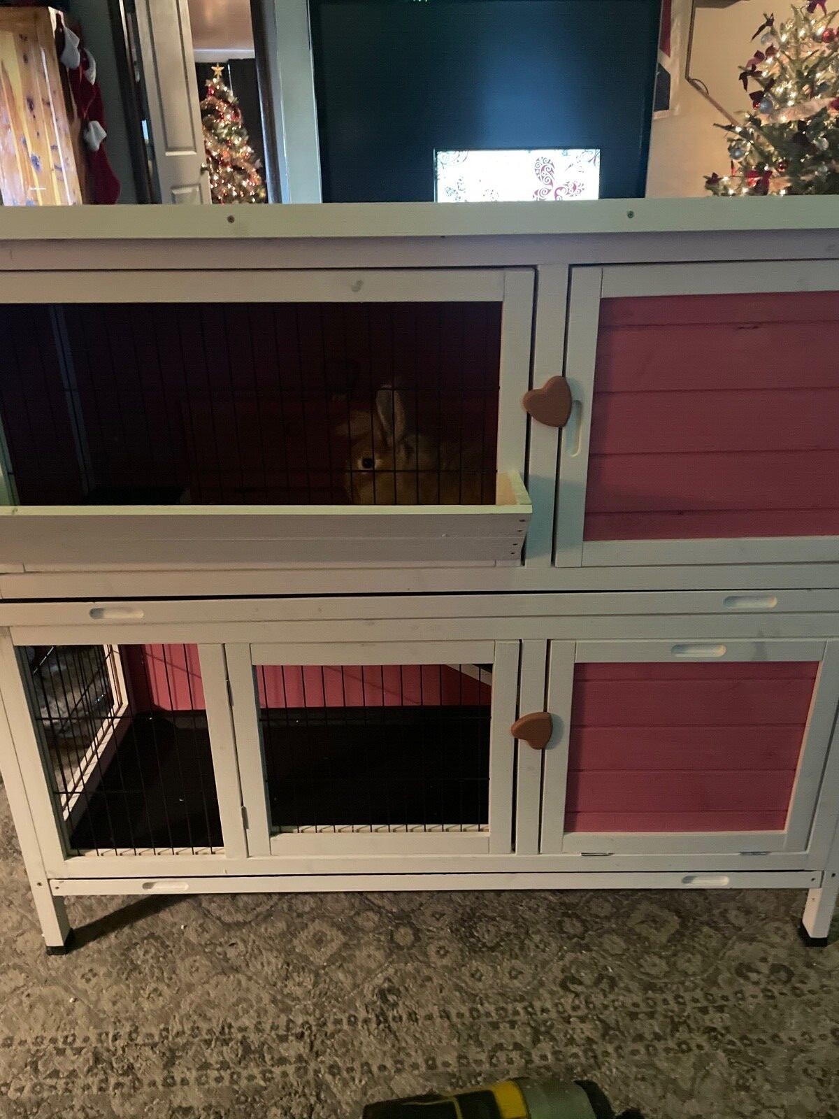 Pink and white heart indoor bunny cage from wayfair $150 | eBay