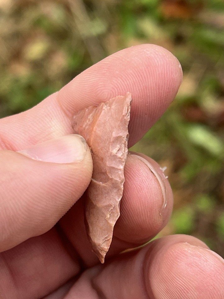 MADISON BIRD POINT ARROWHEAD MISSOURI ANCIENT AUTHENTIC NATIVE AMERICAN ...