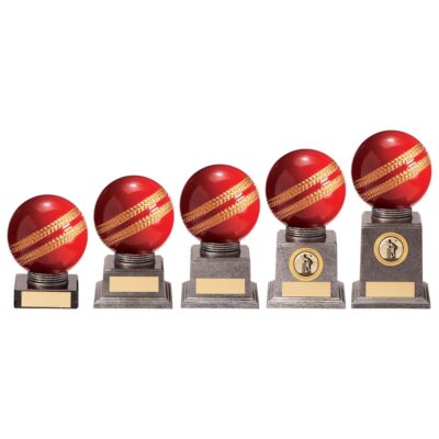 CRICKET LEGEND TROPHY AWARD 5 SIZES FREE ENGRAVING & LOGO | eBay UK