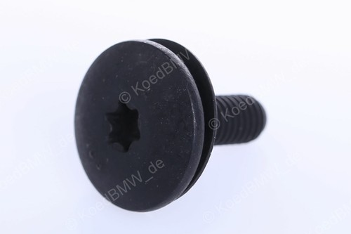 BMW Torxschraube 07146959923 | eBay.de