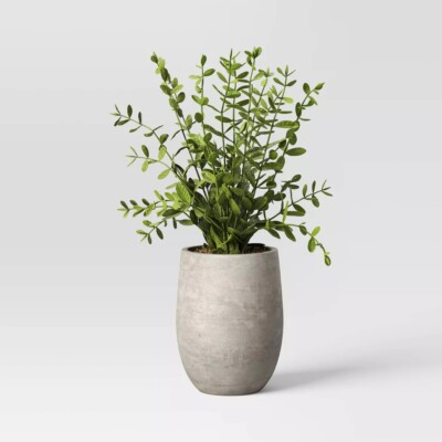 14" Privet Artificial Plant - Threshold™ designed with Studio McGee | eBay