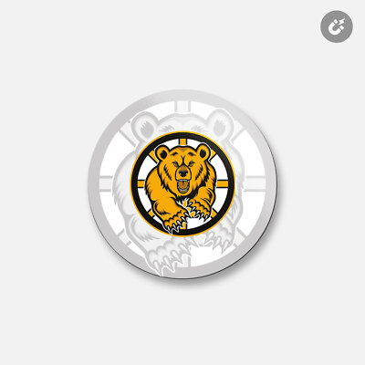 Boston Bruins NHL | 4'' X 4'' Round Decorative Magnet | eBay