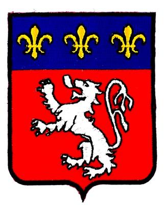 Patch Embroidered Badge Rhones Alpes Lyon Coat of Arms Flag Region ...