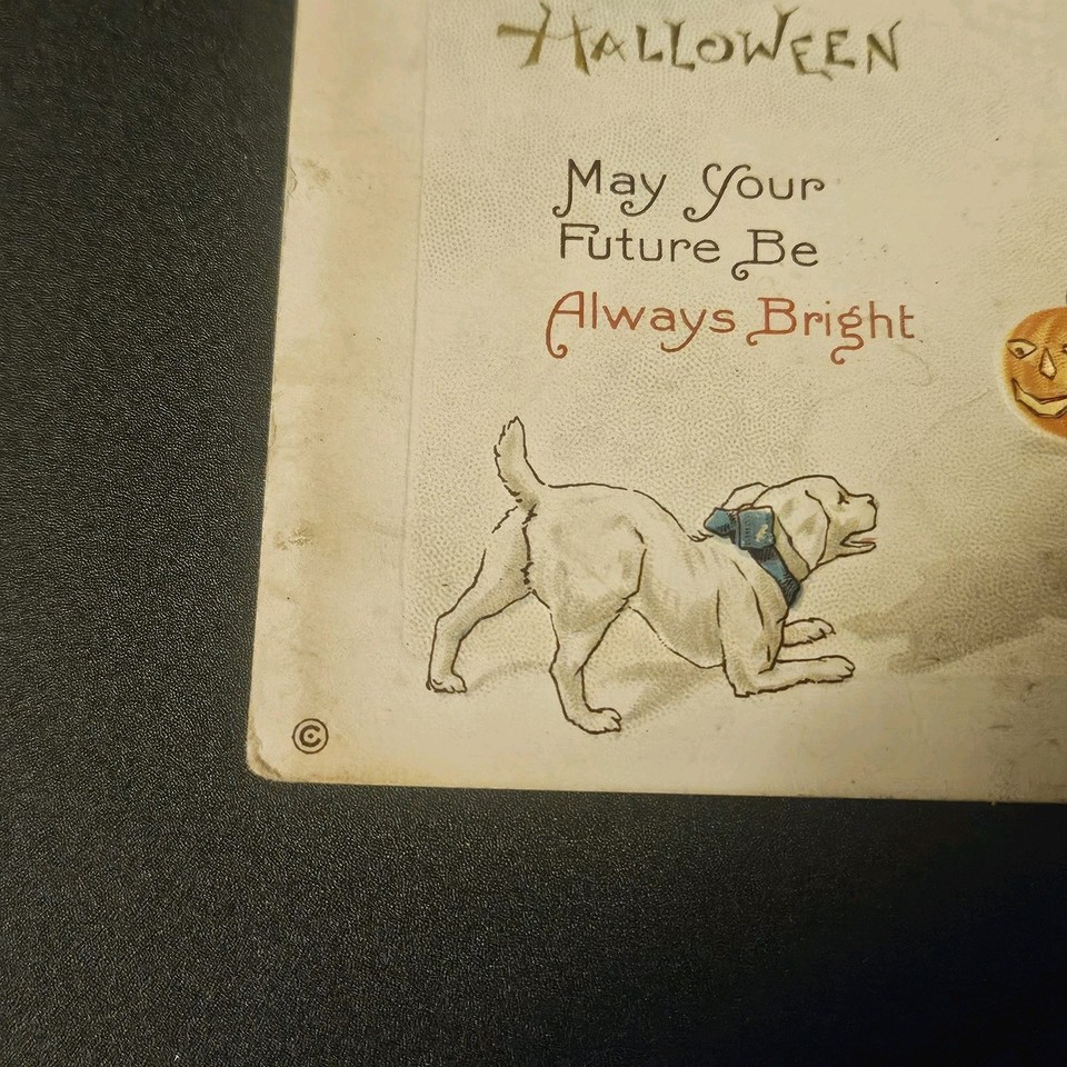Antique HALLOWEEN Postcard JOL , Black Cat , Dog ,Children, PMK 1914 | eBay
