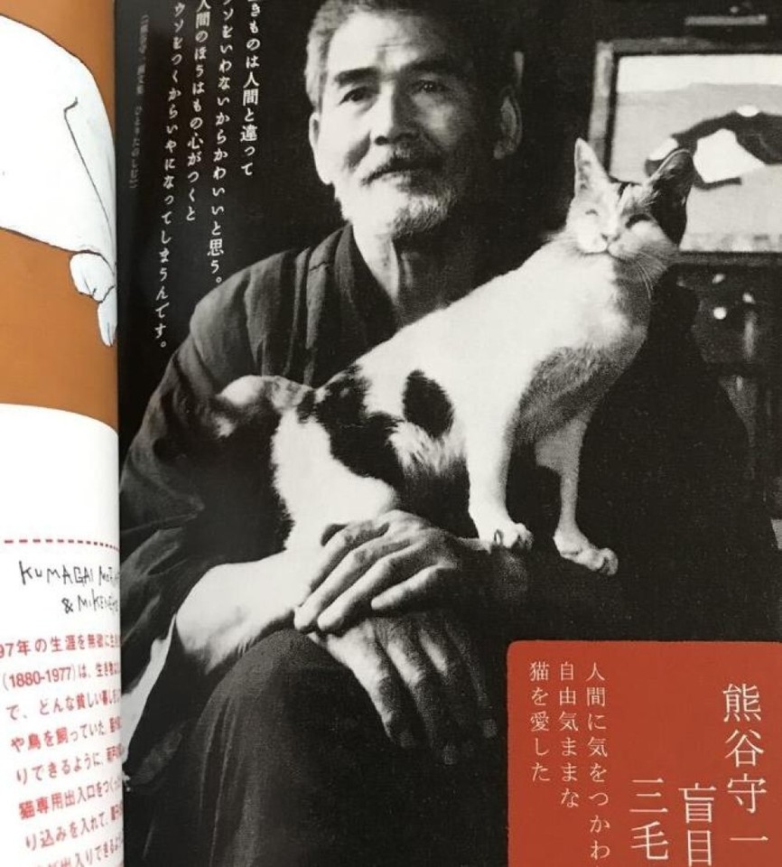 Writer's Cat 1 Cat loving author Natsume Soseki, Yumeji Takehisa ...