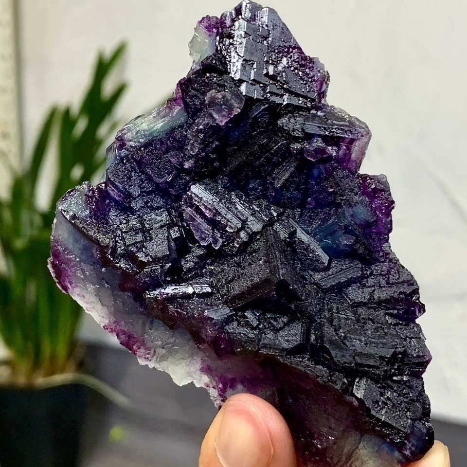 189G Rare Purple Blue Cubic Fluorite Mineral Crystal Sample/Zhejiang ...