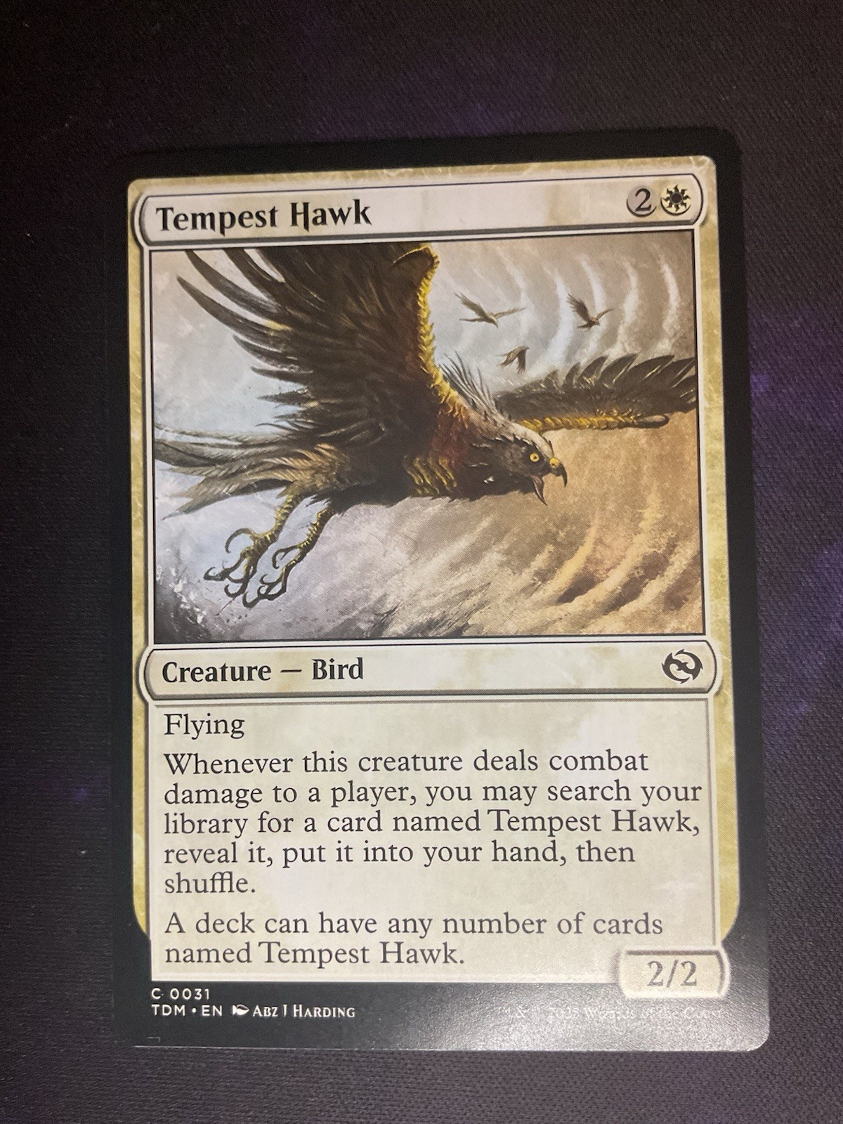 MTG * Tempest Hawk DragonStorm * 1X * NM | eBay