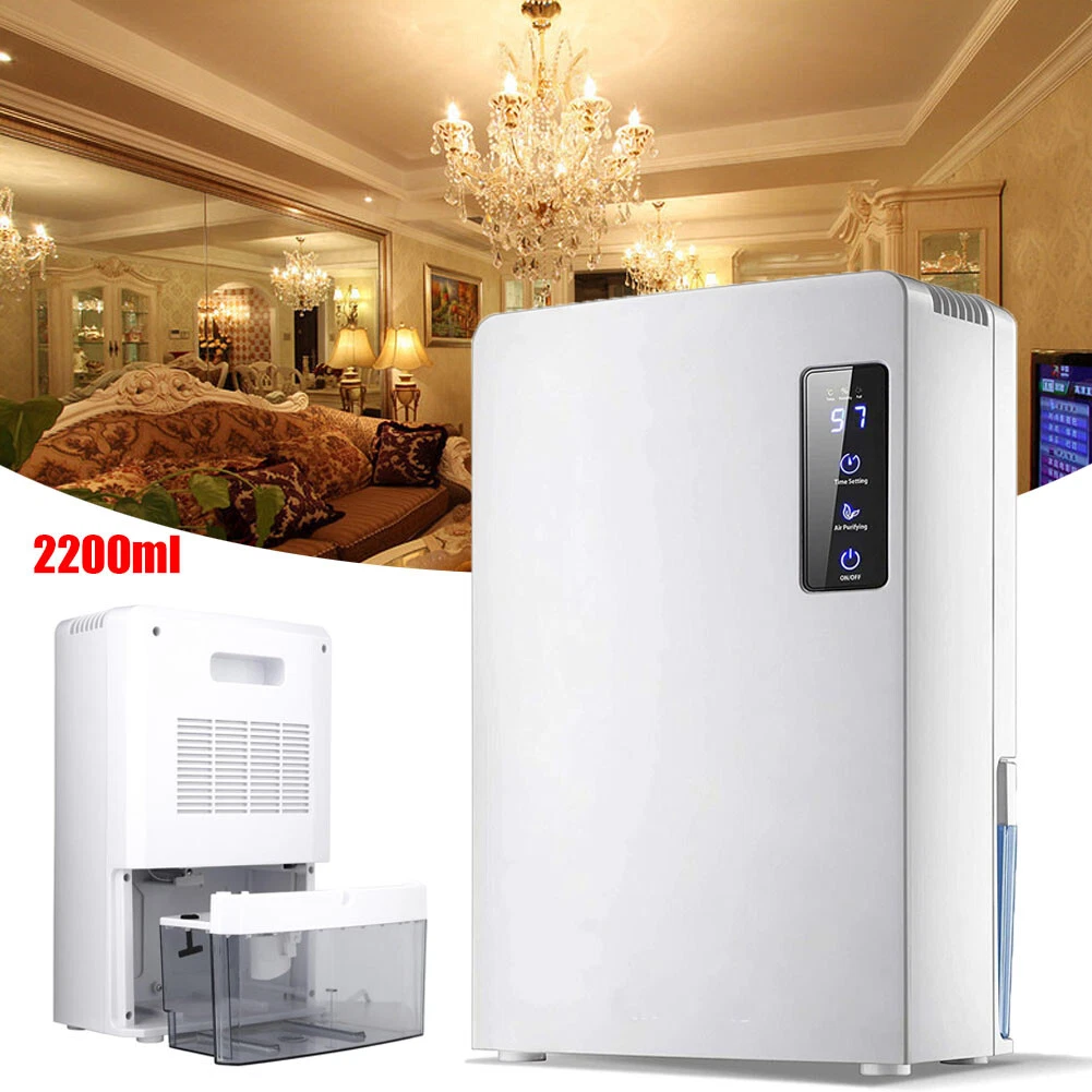 Condensation On Ceiling Of Refrigerator | Shelly Lighting