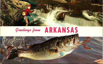 Postcard Greetings from Arkansas - Fisherman and Fish - Unposted Chrome | eBay
