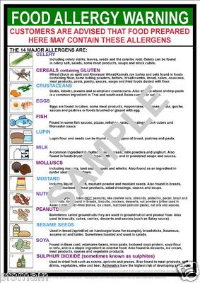 HEALTH SAFETY FOOD ALLERGY ALLERGEN WARNING A4 A3 POSTER SIGN ...