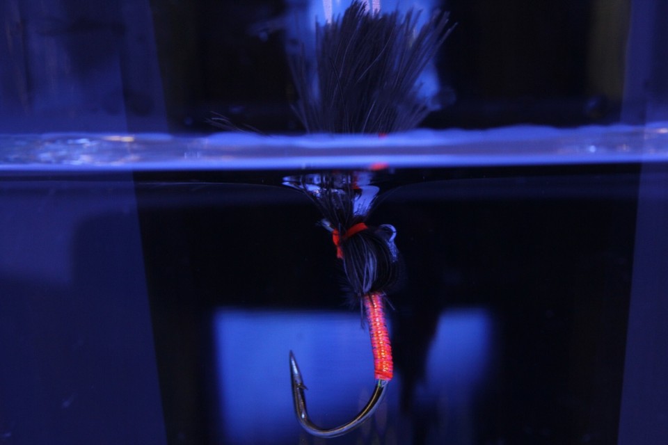 CDC Pin Fry Pattern Size 10 Barbed | eBay UK