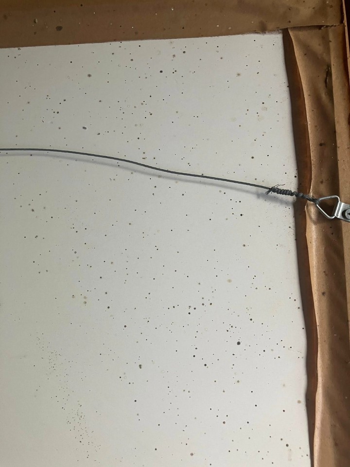 John Olsen Art Etching Honey Possum & Bee Limited Print 6/30 1976 PICK ...