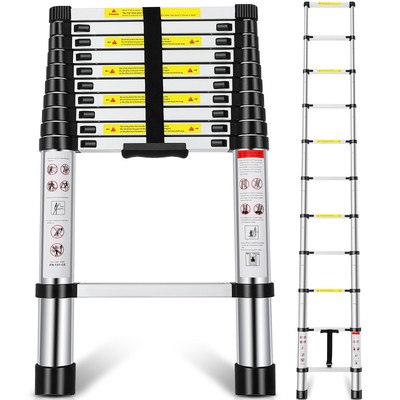 Ladders, Scaffold, Platforms - 16 Ft Ladder