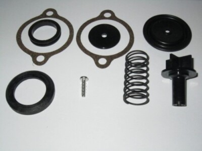 Mercury Poppet Valve Kit 175-300 HP (Serial Number Needed for proper ...