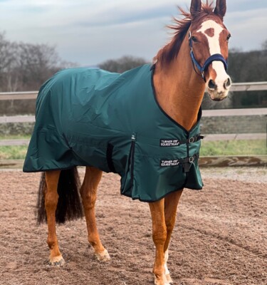 Turner Equestrian Lightweight 100g Horse & Pony Waterproof 600d Turnout ...