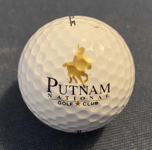Putnam National Golf Course- Logo Golf Ball (Mahopac, New York) | eBay