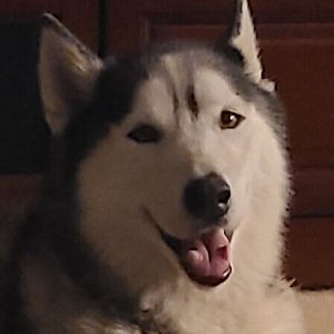 JTT Store | eBay Stores