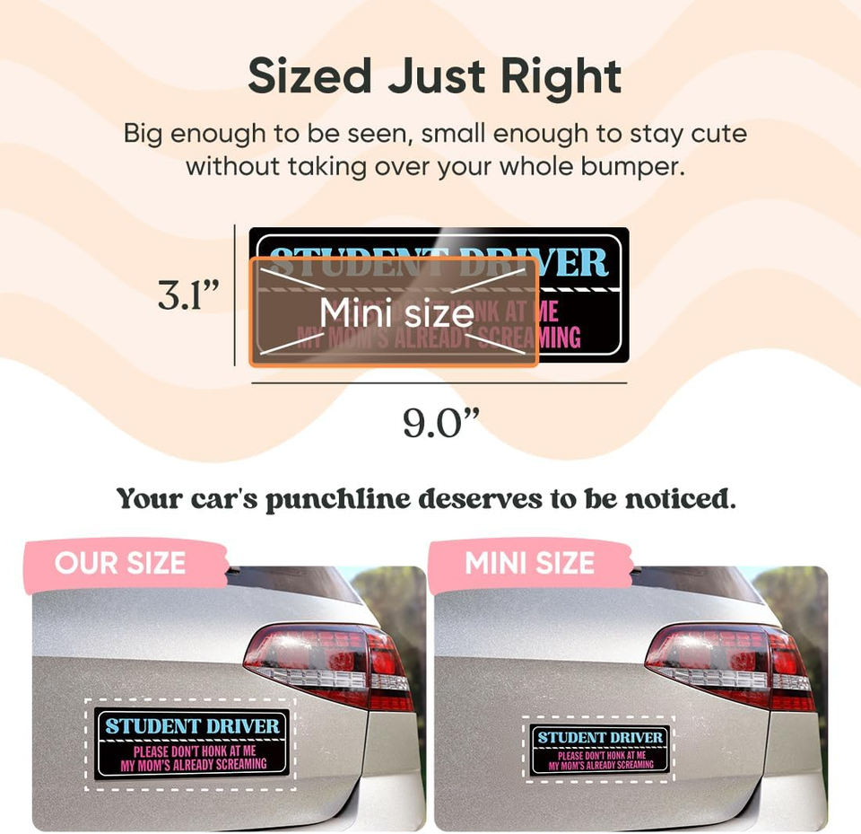 5Pcs Student Driver Magnet for Car, Funny New Driver Magnet Car ...