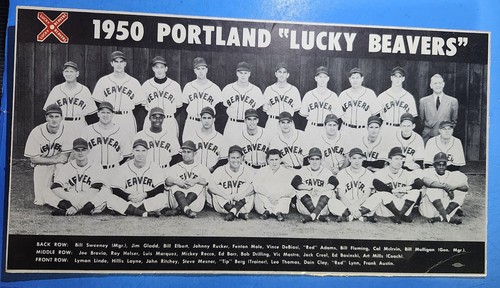 1950 PORTLAND "LUCKY BEAVERS" PCL, ORIGINAL TEAM PHOTO on thick ...