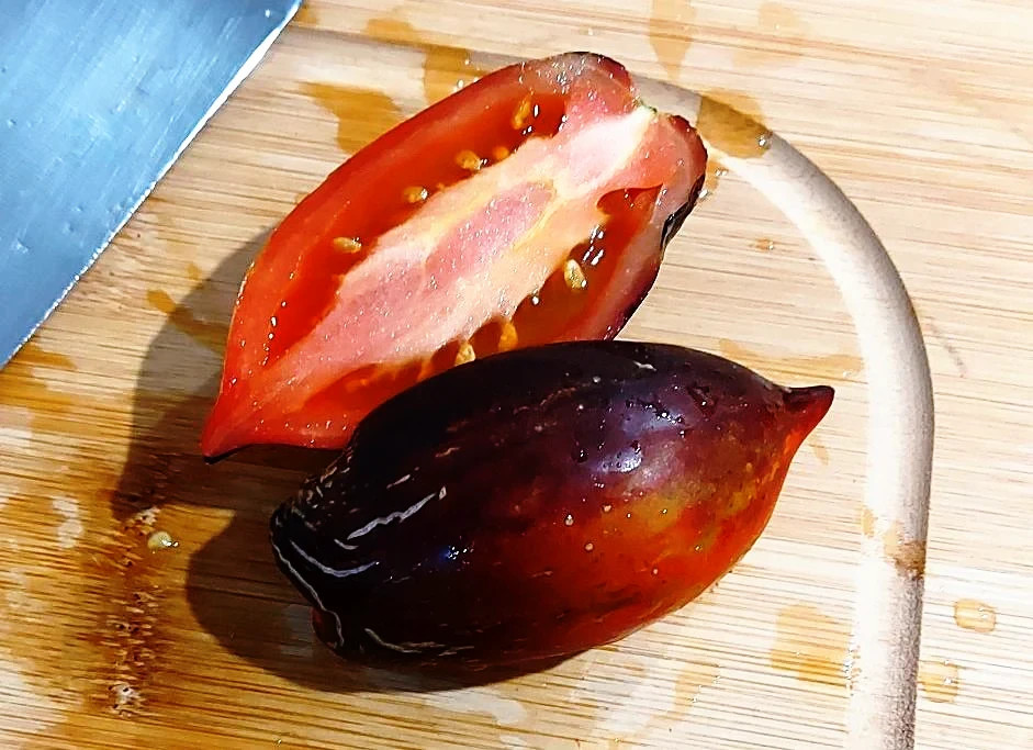 10 seeds Shadow Boxing DWARF Tomato Rare ORGANIC Variety | eBay