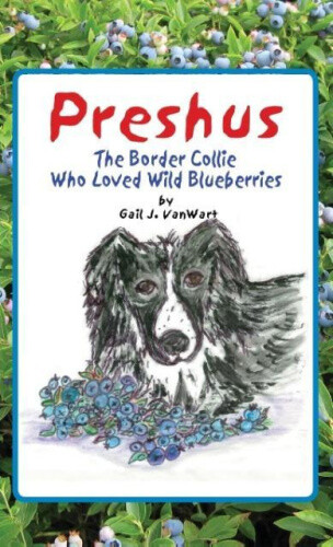 Preshus: The Border Collie Who Loved Wild Blueberries by Gail J Vanwart ...