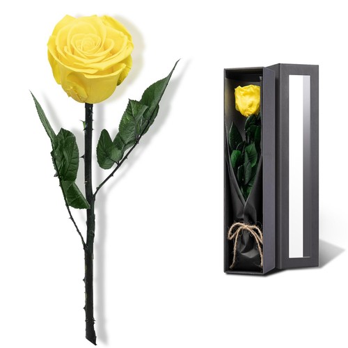 Preserved Yellow Rose Flower Gift for Women Single Real Rose for Mom ...