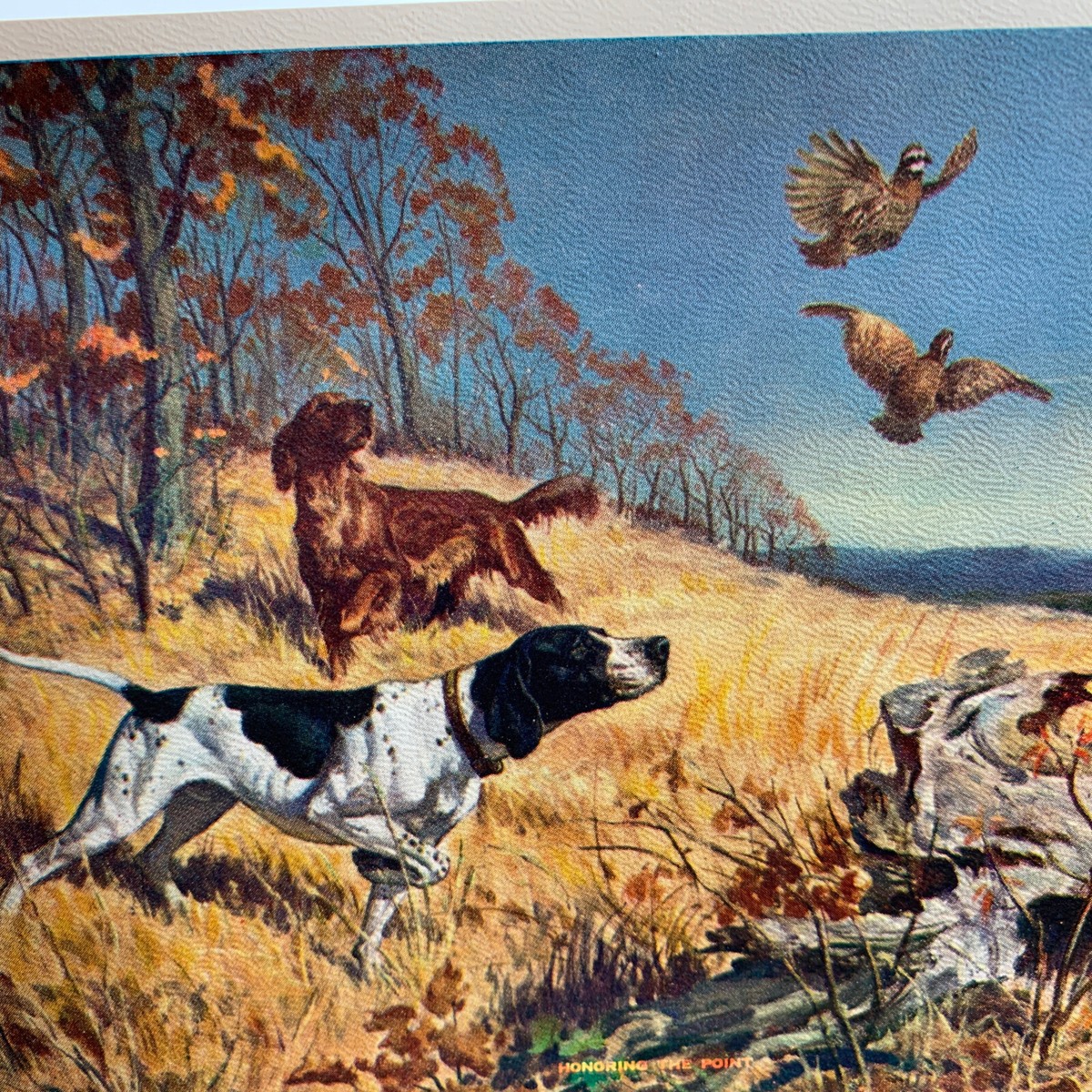 Hunting Dog Drawings