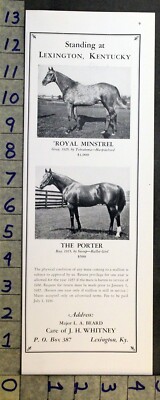 1935 EQUESTRIAN HORSE ROYAL MINSTREL PORTER STUD SERVICE LEXINGTON AD ...