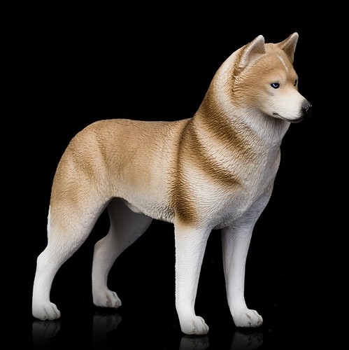 Siberian Husky Dog Animal Toy 5 Inch PVC Action Figure Doll Kids Toys ...