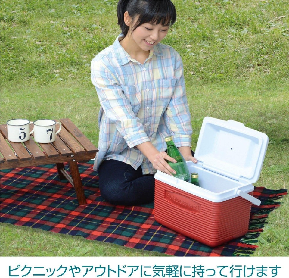 Rubbermaid 10 Qt Ice Chest Cooler Esky 9.5L Portable Lunch Box Chiller ...