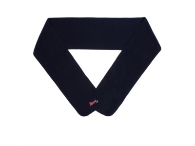 NFL Houston Texans Navy Scarf | eBay