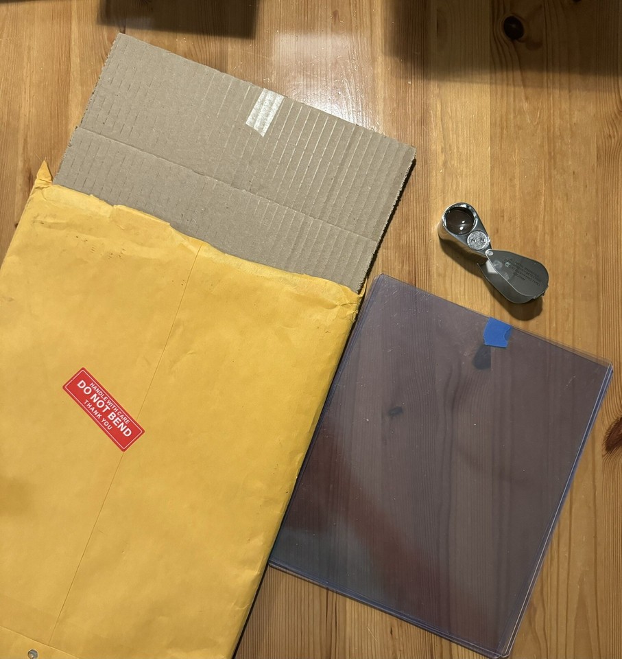 Lara Flynn Boyle Signed Photo 8x10 Autographed JSA The Pratice Twin ...