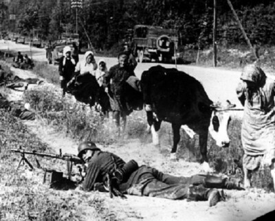 German Soldier with Russian Women and Cows passing 8"x 10" WWII Photo ...