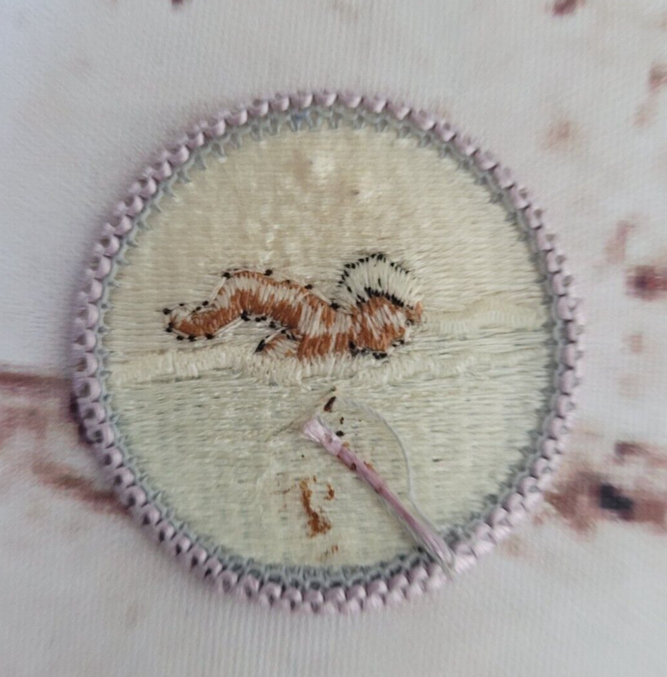 BSA, Boy Scout, Swimming Merit Badge Patch | eBay