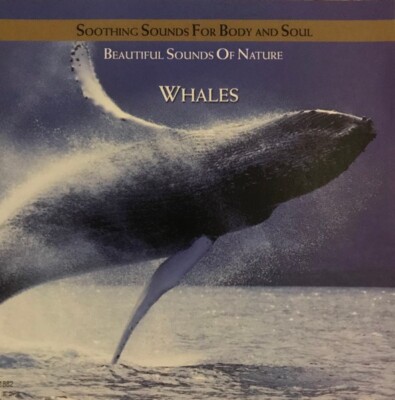 WHALES - Beautiful Sounds of Nature - Soothing Sounds For Body & Soul ...
