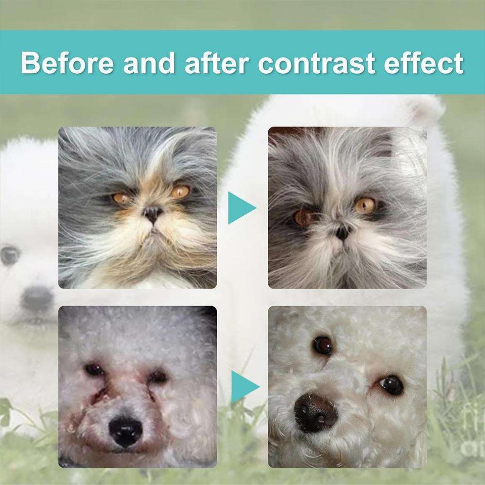 Pet Eye Drops For Conjunctivitis Dog Cat Horse Rabbit Animals All New ...