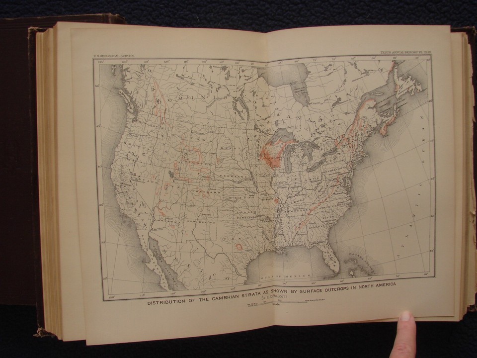 1890 USGS 10th AR Pt I Dismal Swamp Penokee Iron Michigan WI Olenellus ...