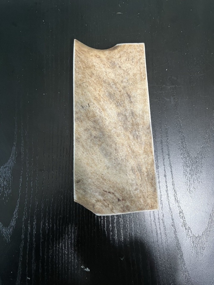 Utah MOOSE 6” Antler Dog Chew(#8)Dog Chew | eBay