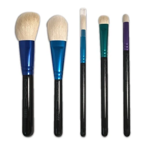 Mac Makeup Brushes Kit