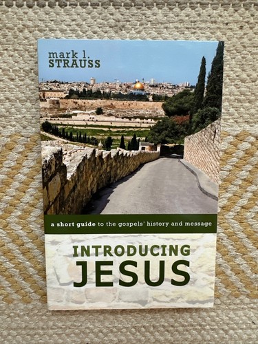 Introducing Jesus: A Short Guide to the Gospels' History and Message by ...