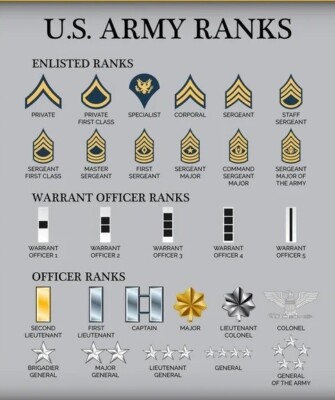 U.S. Army Ranks POSTER 24 X 36 Inches | eBay