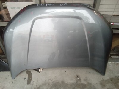 2019-2022 Ford Edge Hood Panel Front | FO1230330 | OEM | (W2-22 ...