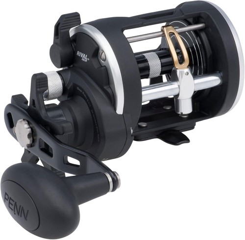 PENN Rival Level Wind Conventional Fishing Reel RIV15LW, Black/Silver ...