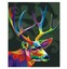 Paint By Numbers Adults kids Colorful Deer Anima DIY Painting Kit ...