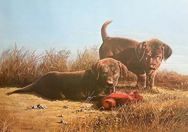 Phillip Crowe - Desperados Chocolate Labs - A/P Litho with Remarque ...