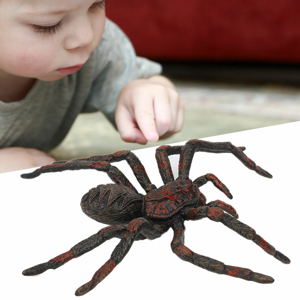 Realistic Spiders Insect Model Animal Model Figurine Educational Toy ...