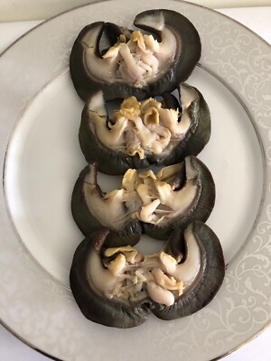 Fresh Frozen Jumbo Snails 5 pieces/ African Bush Snails /African Fresh ...