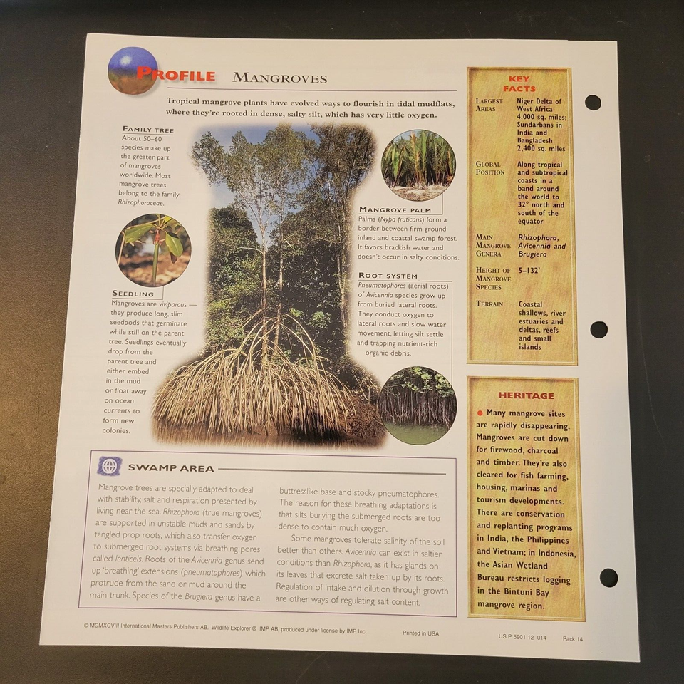 Wildlife Explorer Card 16 Group 7 World Explorer Wildlife Of The ...