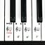 RockJam RJ761-SK 61 Keyboard Piano Kit 61 Key Digital Piano Keyboard ...
